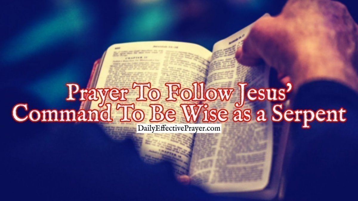 Prayer To Follow Jesus’ Command To Be Wise as a Serpent